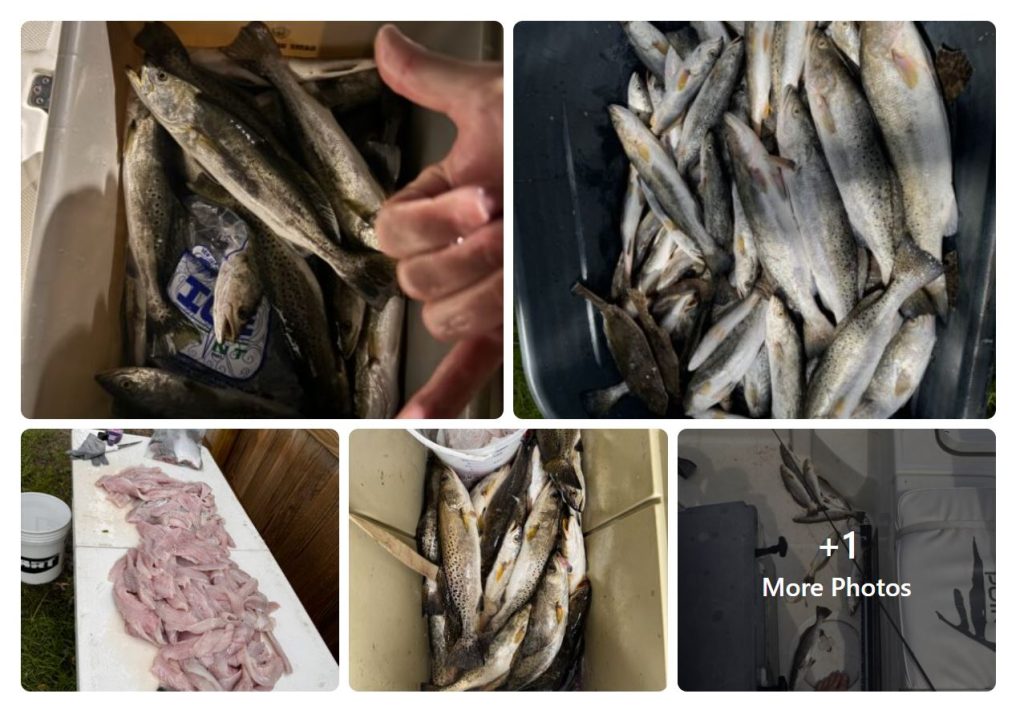 Inshore Fishing 101 | Foundational Knowledge for Catching Fish