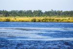 How to Catch Redfish in Louisiana's Pumpkin Patch