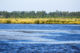 How to Catch Redfish in Louisiana's Pumpkin Patch