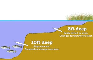 Where are Speckled Trout in September? - Louisiana Fishing Blog